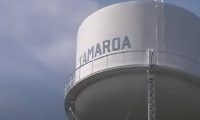 Tamaroa Video